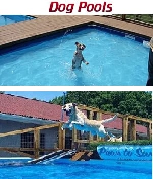 Paradise Pools Mart Have Your Pool, Your Way. Today