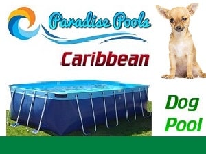 Above Ground Pools For Dogs - Paradise Pools Mart Happy Dogs