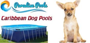 Dock Dog Diving Pools For Sale - Paradise Pools Mart